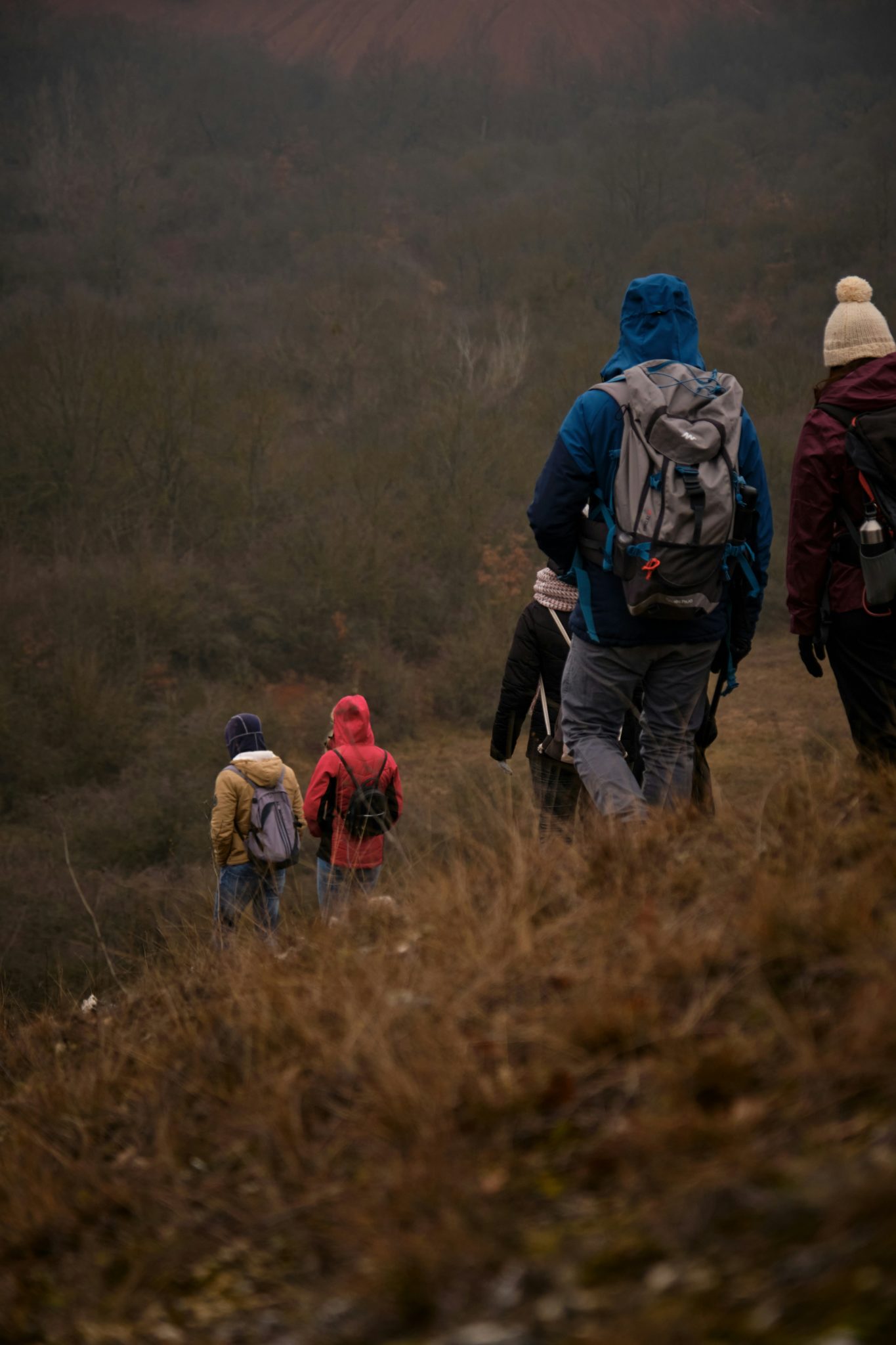 Camminate in montagna: guide e consigli per il trekking Camminate in ...
